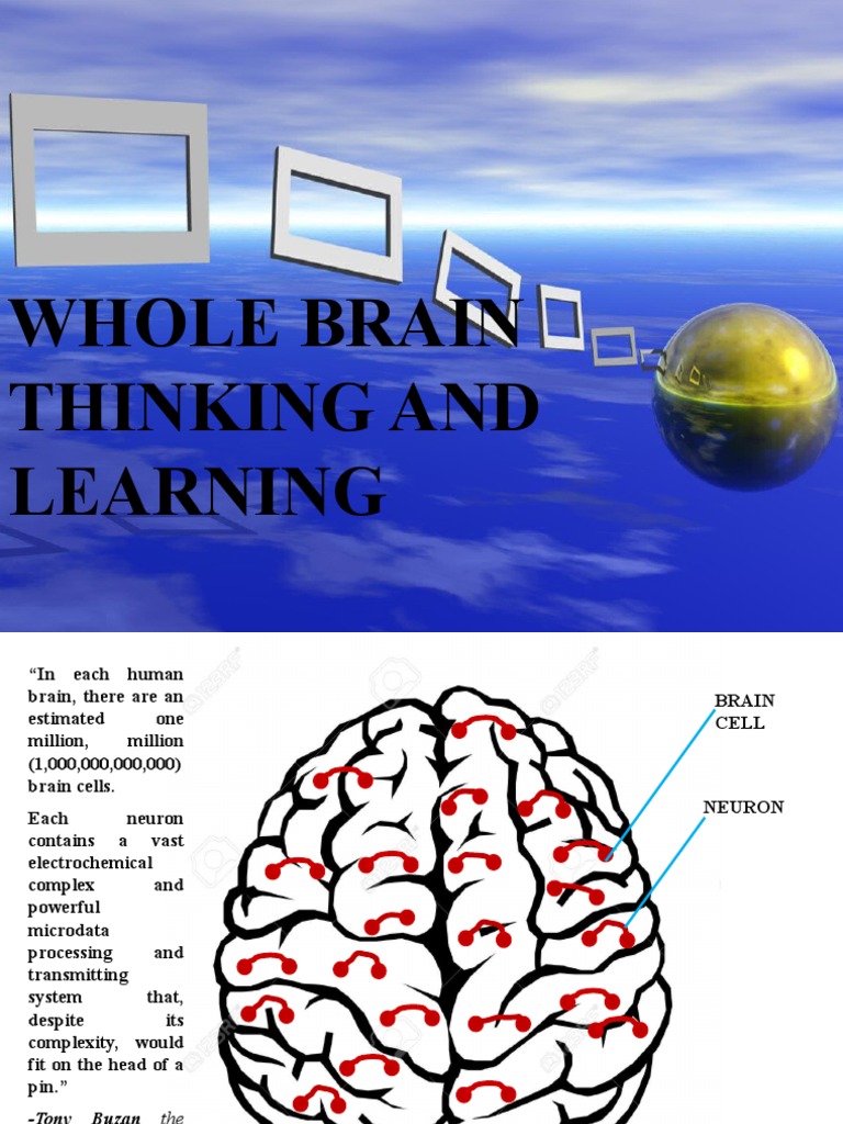 understanding-the-whole-brain-insights-into-learning-styles-and
