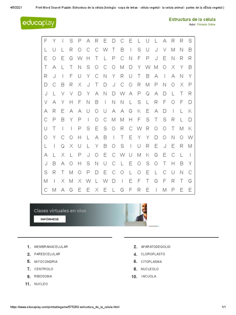 Sopa de Letras Celula | PDF | Ribosoma | Organismos