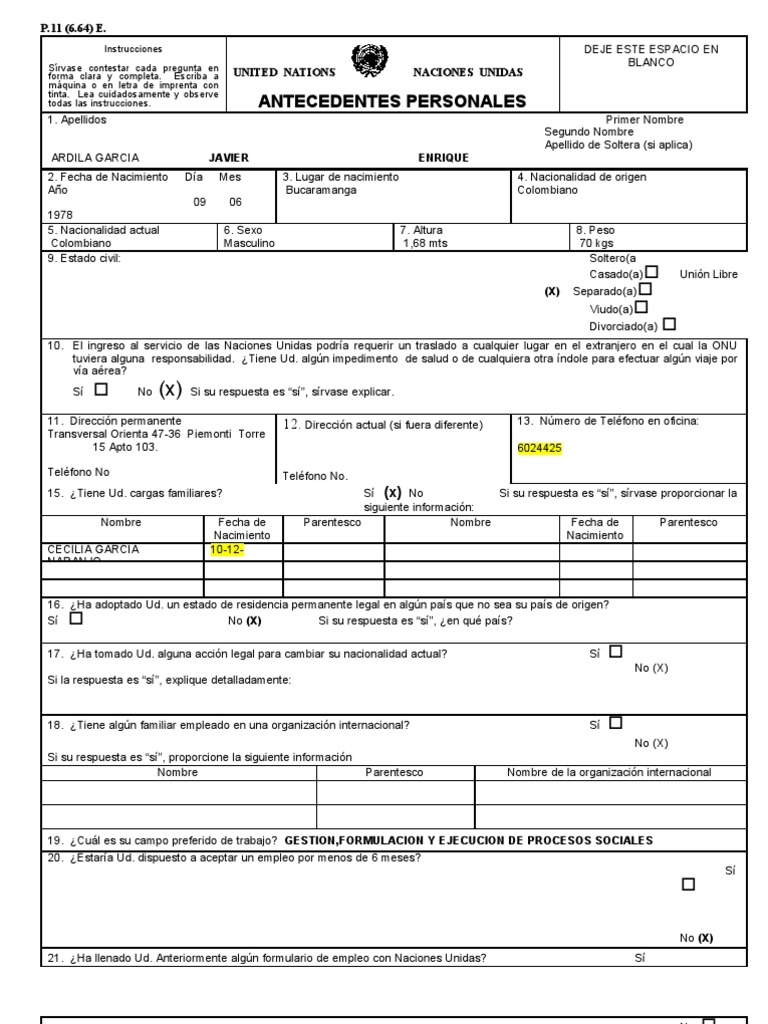 Formato P11 | Naciones Unidas | Relaciones Internacionales