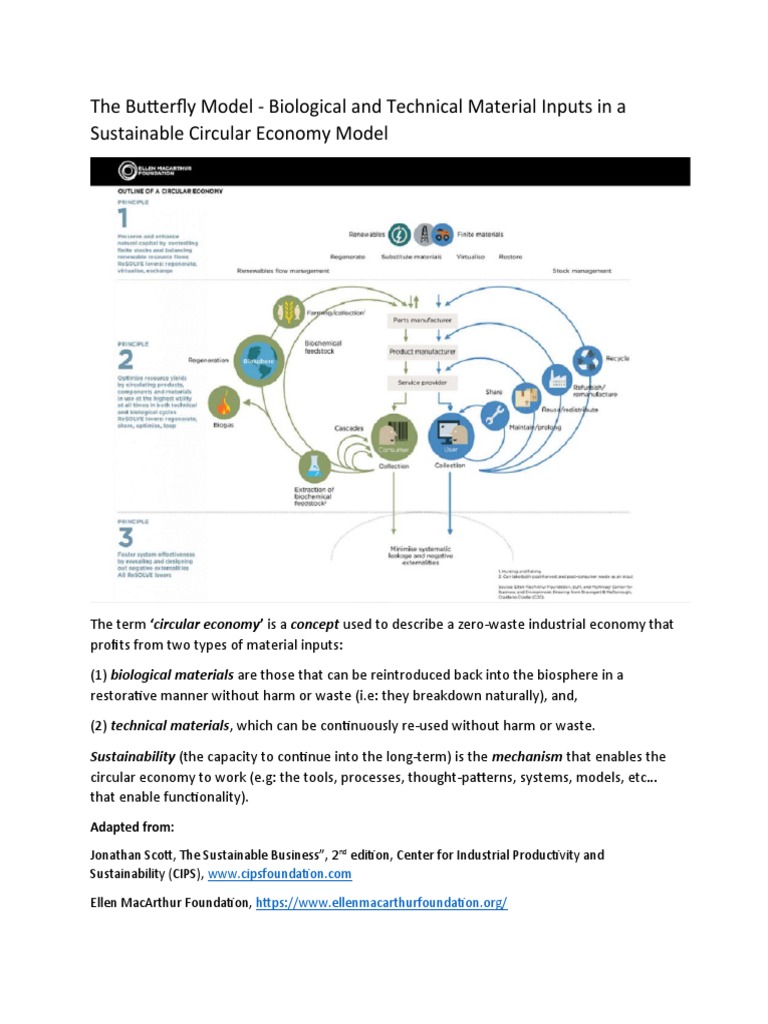 Butterfly Model Explained | PDF | Finance & Money Management | Science ...