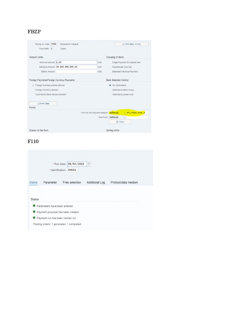 F110 Payment Proposal Process Guide | PDF