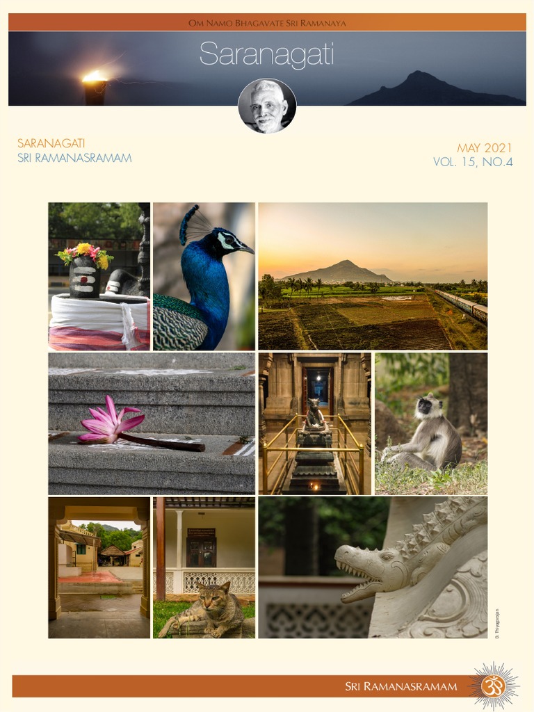 Saranagathi Enewsletter May 2021 | PDF | Peafowl | Influenza