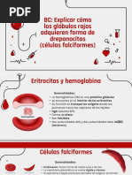 Anillos de Cabot | PDF | Glóbulo rojo | Hematología