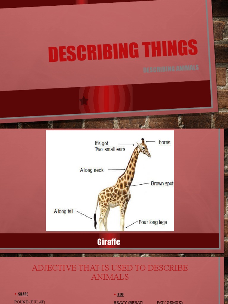Describing Things PPT English VI | PDF