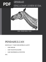 Anatomi Regio Kepala dan Leher | PDF
