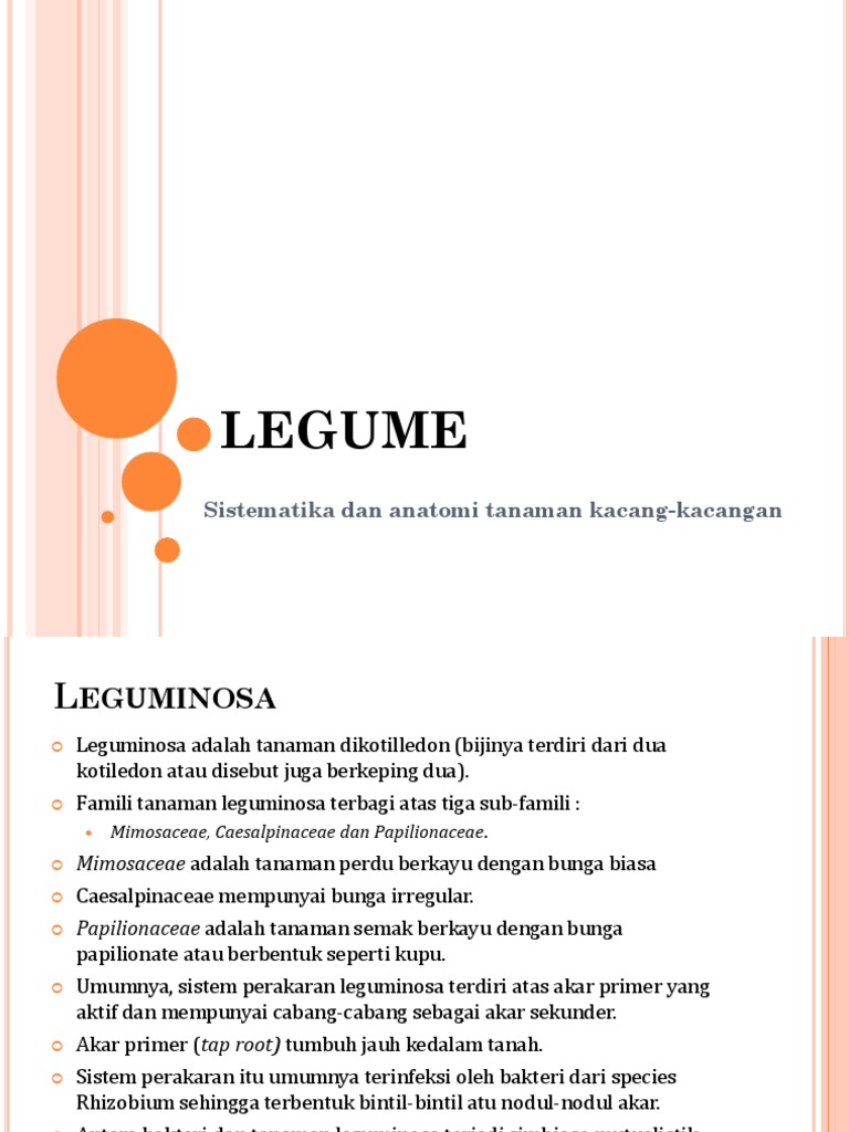 KLH 7 Sistematika Dan Anatomi Tanaman Legum | PDF