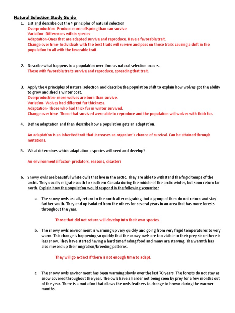 Natural Selection Study Guide Key2 | PDF | Natural Selection | Evolution