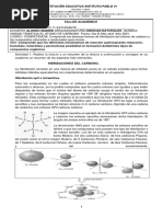 Hibridación y Nomenclatura de Alcanos | PDF | Alcano | Enlace químico