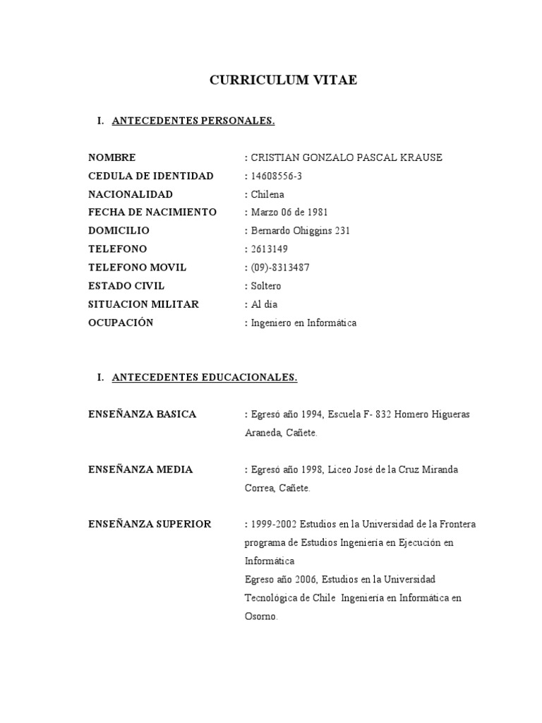 CURRICULUM VITAE Pascal | PDF | Ingeniería | Informática