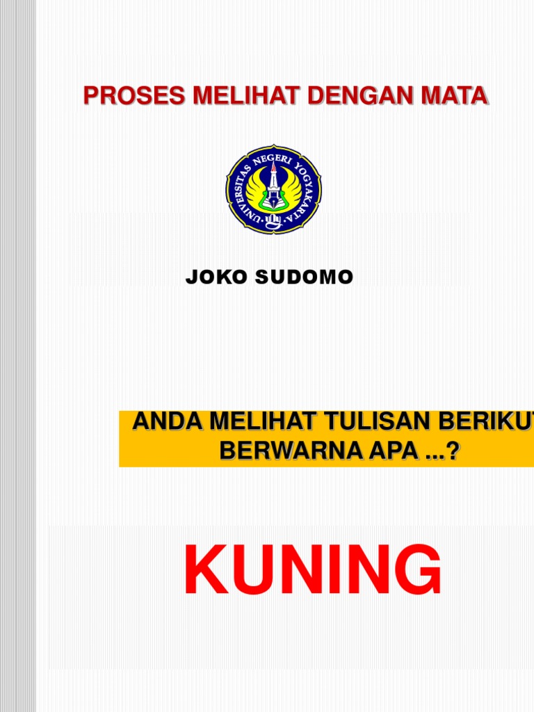 01 Mata - Proses Melihat Dan Cacat Mata - Biofis 2021 | PDF