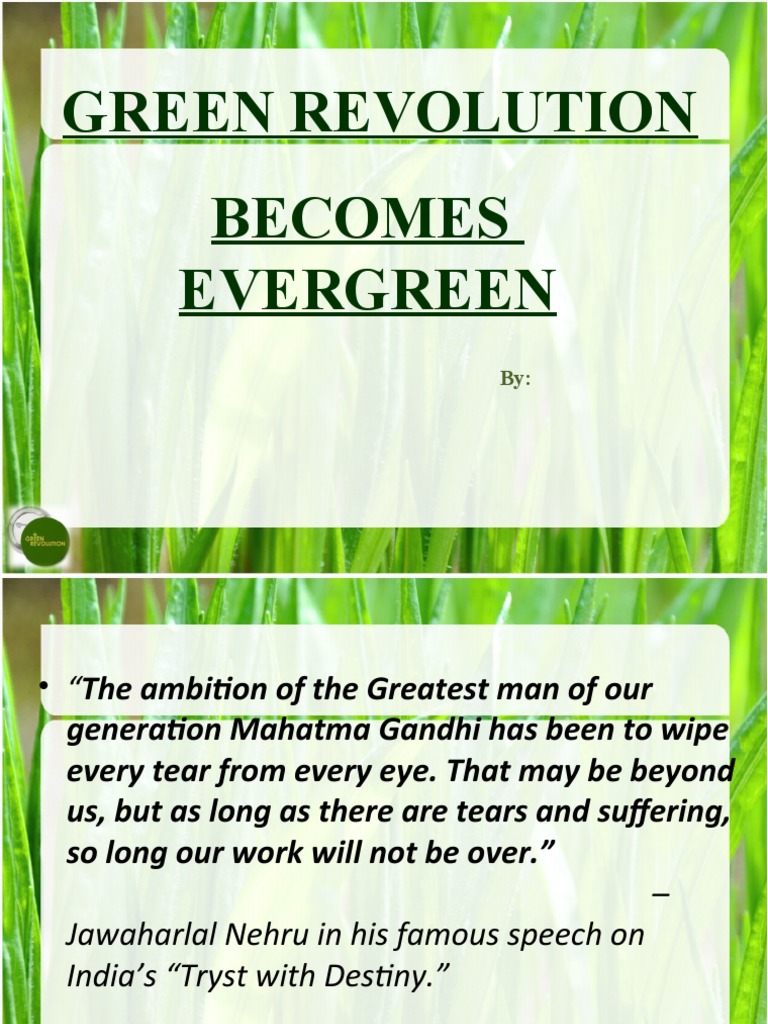 Green Revolution Becomes Evergreen | PDF | Green Revolution | Agriculture
