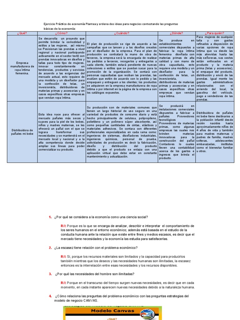 Ejercicio Práctico de Economía | PDF | Pañal | Empresas