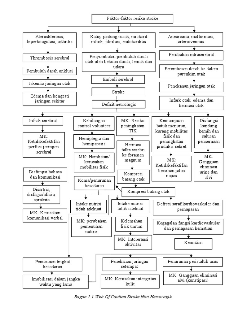 Bagan 1.1 Web of Caution Stroke Non Hemoragik | PDF