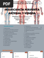 Qué es la marcha claudicante | PDF | Presión sanguínea | Artería