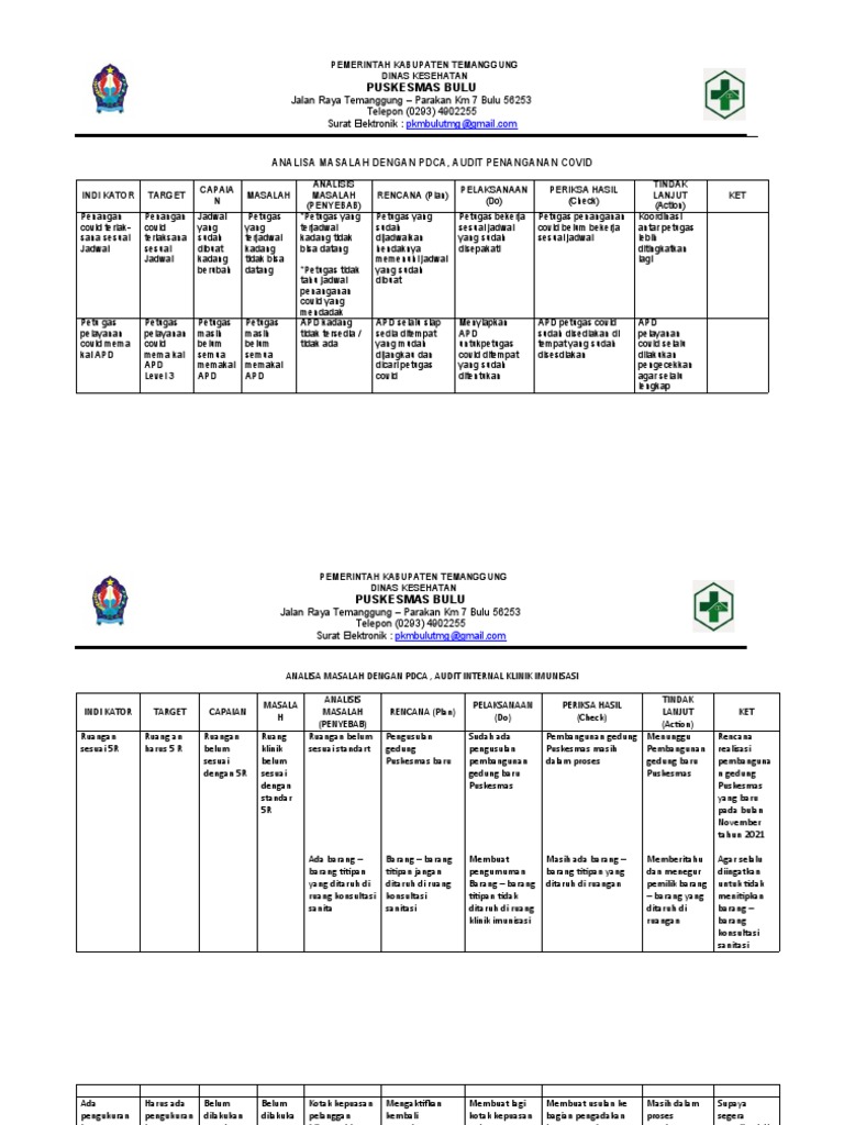 Pdca Audit Internal 2020 | PDF