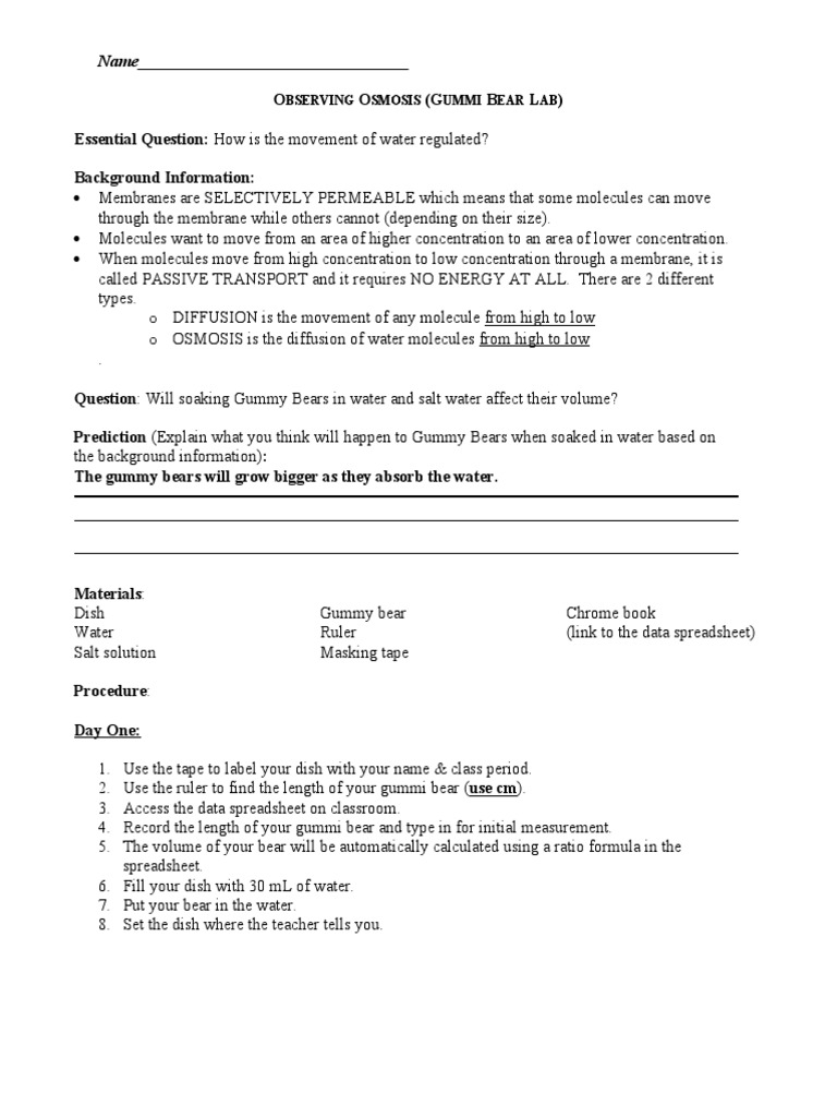 Gummy Bear Osmosis Experiment Guide | PDF | Osmosis | Applied And ...