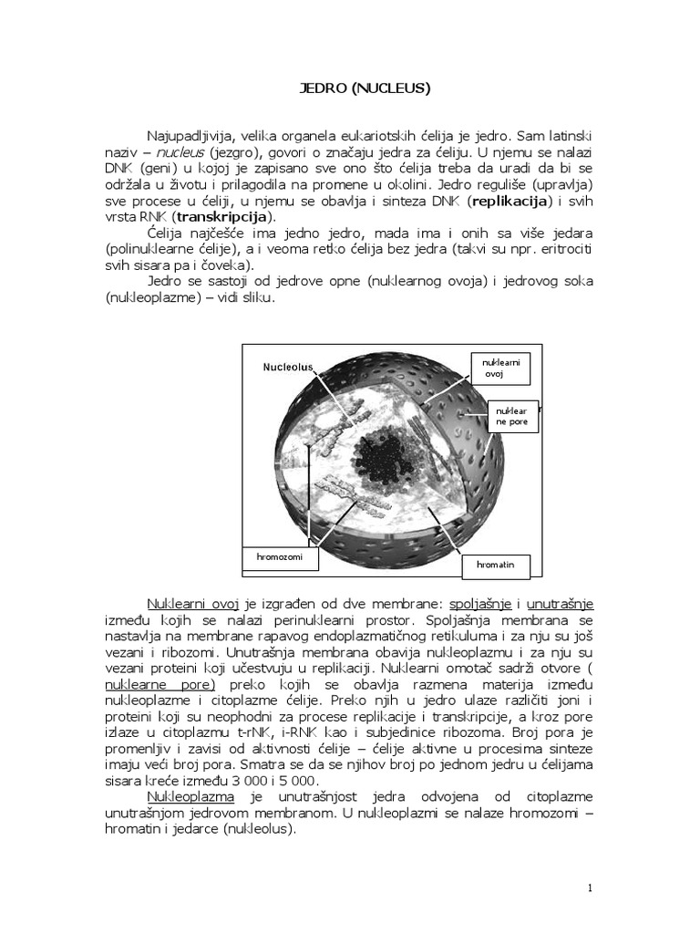 JEDRO | PDF