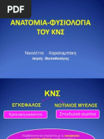 TO ΟΥΡΟΠΟΙΗΤΙΚΟ ΣΥΣΤΗΜΑ-ΑΝΑΤΟΜΙΑ | PDF