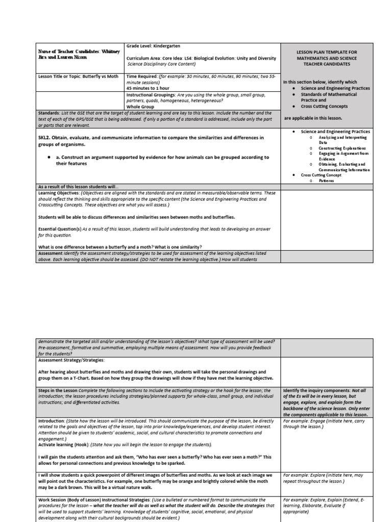 Butterflies and Moths Lesson Plan | PDF | Educational Assessment | Teaching