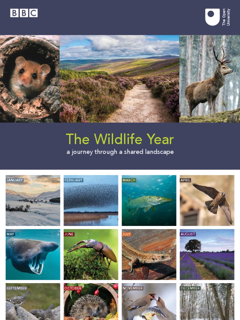 The Wildlife Year: A Journey Through A Shared Landscape | PDF ...