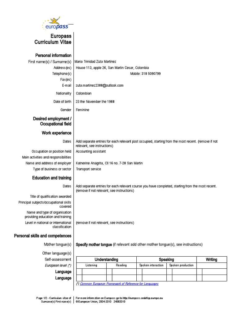 Europass Curriculum Vitae: Personal Information | PDF | Driver's ...