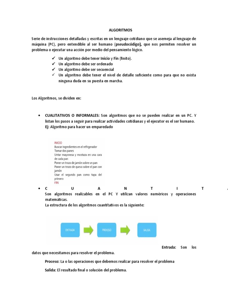 Lógica de Programación | PDF | Algoritmos | Programa de computadora