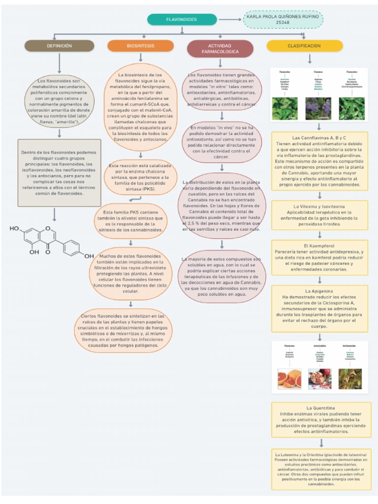 Tarea 2 Mapa Conceptual Farma | PDF