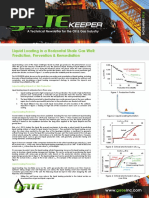 Inflow Test Horner Plot Template | PDF | Spreadsheet | Time