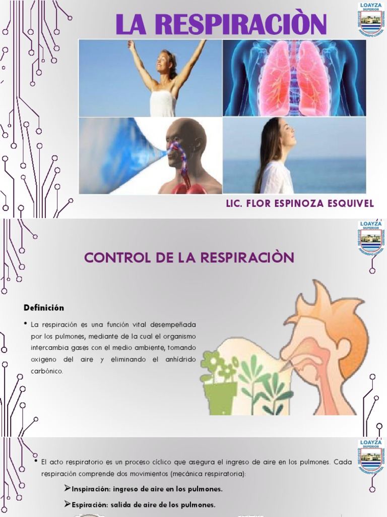 Control de La Respiraciòn Completa | PDF | Respiración | Sistema ...