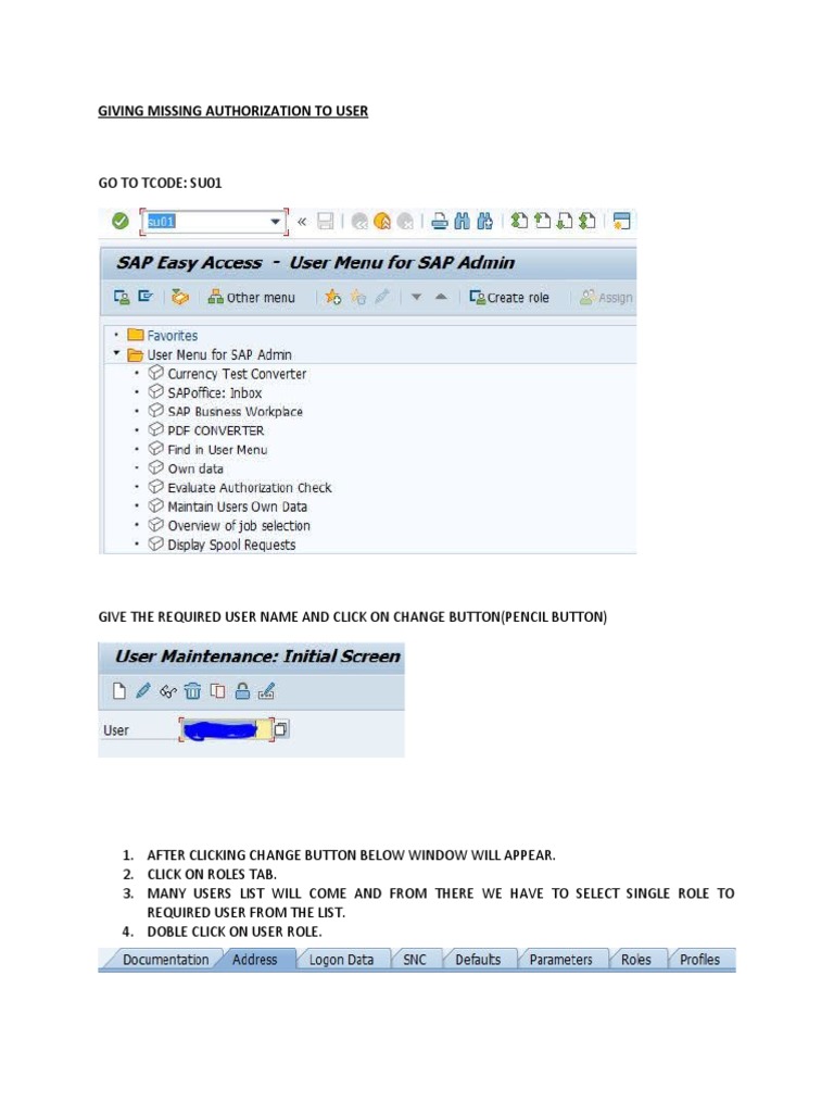 Missing Authorization | PDF