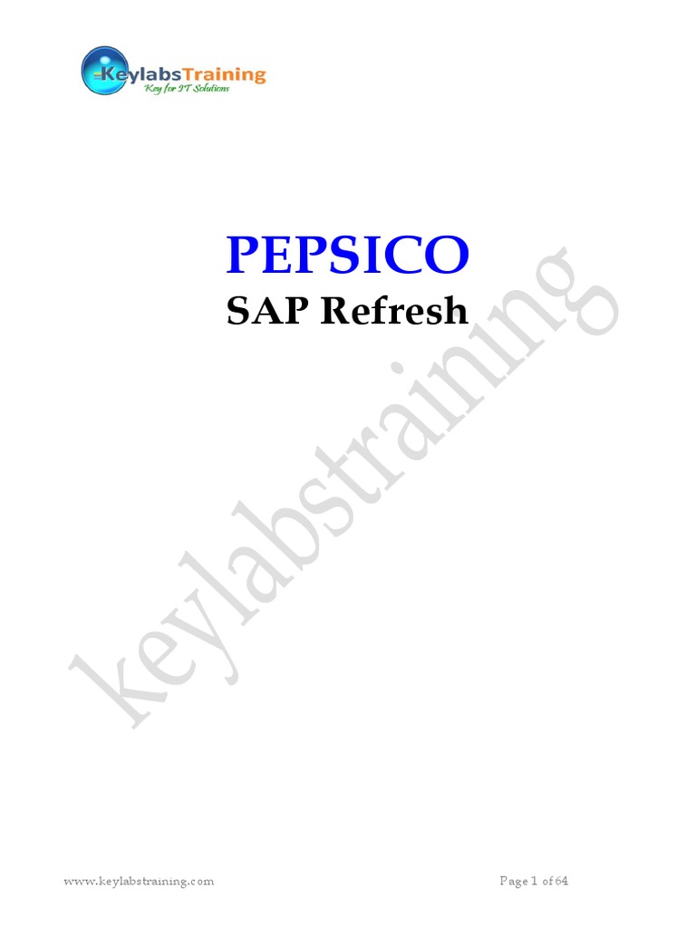 System Copy Document Keylabs | PDF | Operating System | Version Control