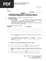 Raport Activitate Model | PDF