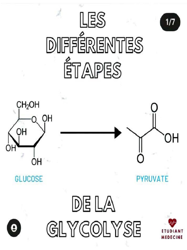 Les Etapes de La Glycolyse | PDF | Fructose | Glycolyse