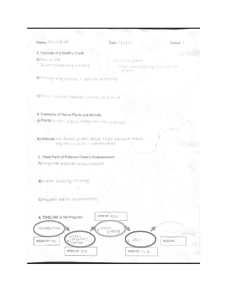HSB 1 - Worksheet Notes | PDF