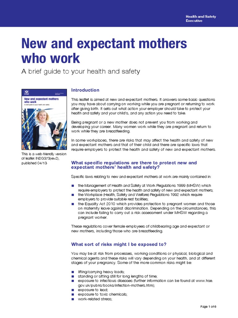 New and Expectant Mothers Who Work: A Brief Guide To Your Health and ...