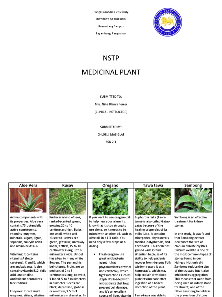 NSTP Medicinal Plant | PDF | Antioxidant | Polysaccharide