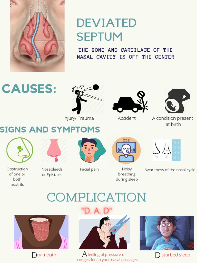 The Bone And Cartilage Of The Nasal Cavity Is Off The Center Pdf