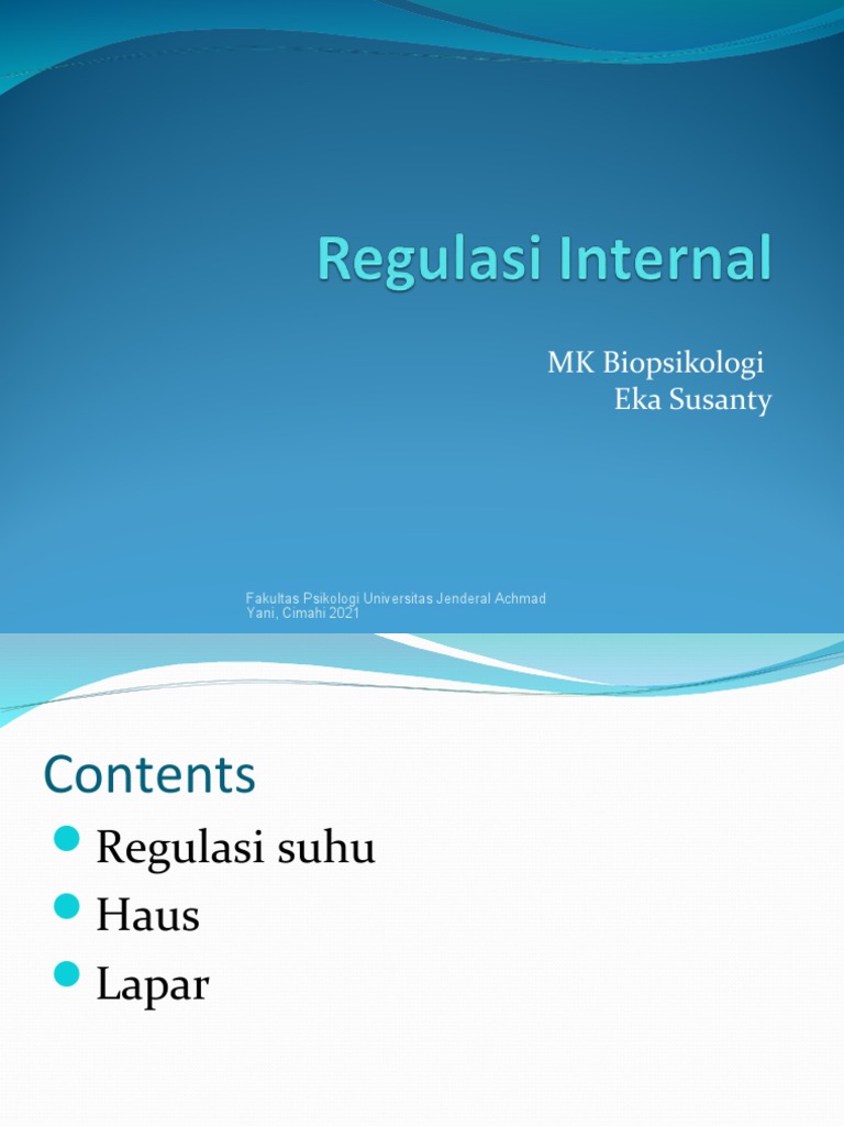 06 Regulasi Internal | PDF