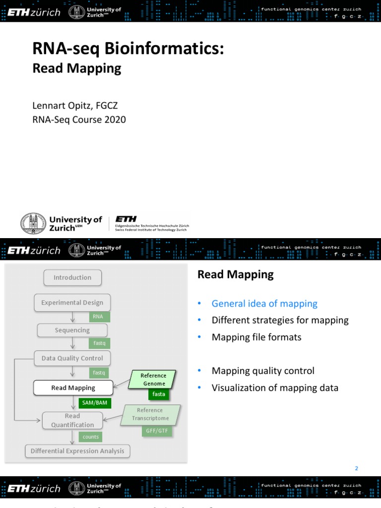 3 RNAseq-Mapping LO | PDF | Sequence Alignment | Transcriptome