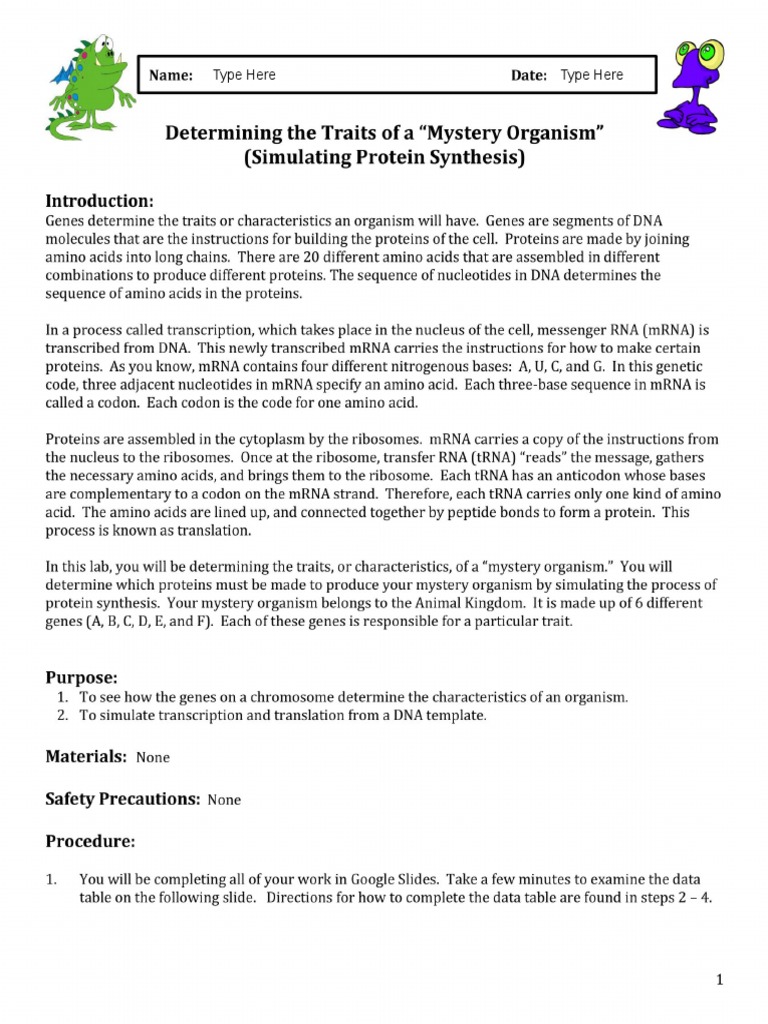 Nicolas Osborn - Simulating Protein Synthesis Drake 2021 | PDF