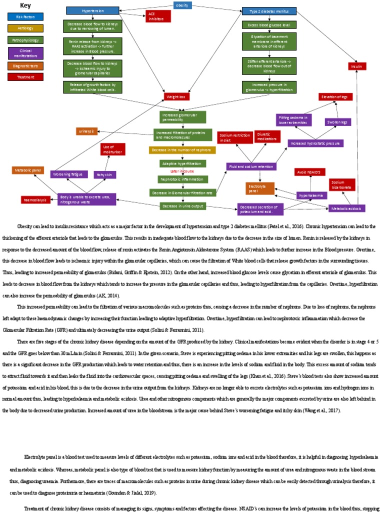 2 - Concept Map 4 | PDF | Edema | Kidney