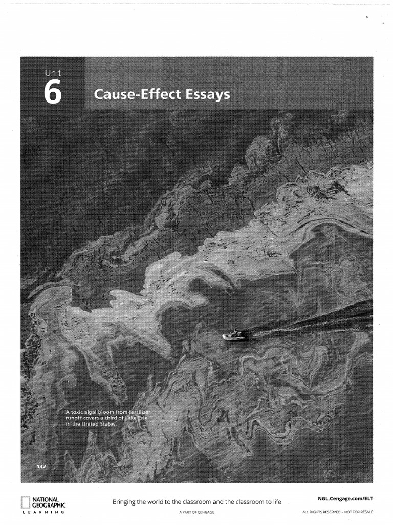 Cause and Effect Essay Notes and Worksheets | PDF