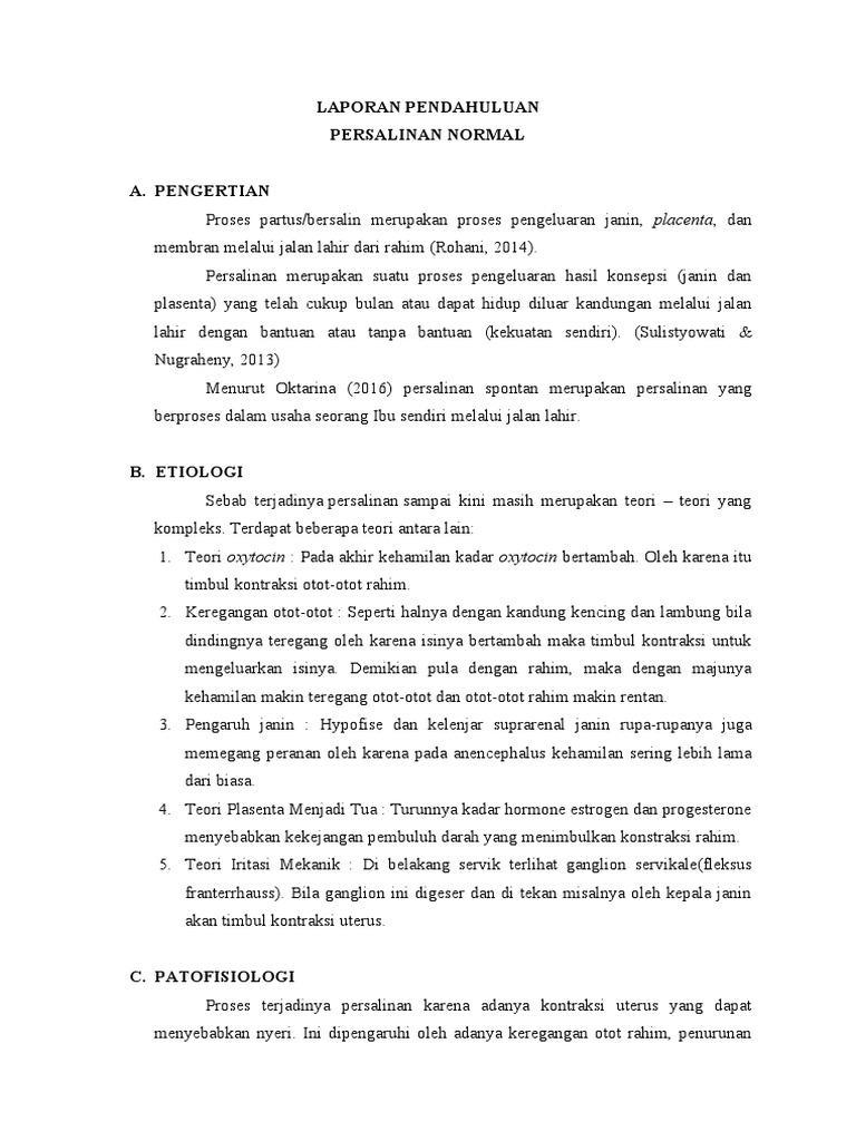LP Persalinan Normal | PDF