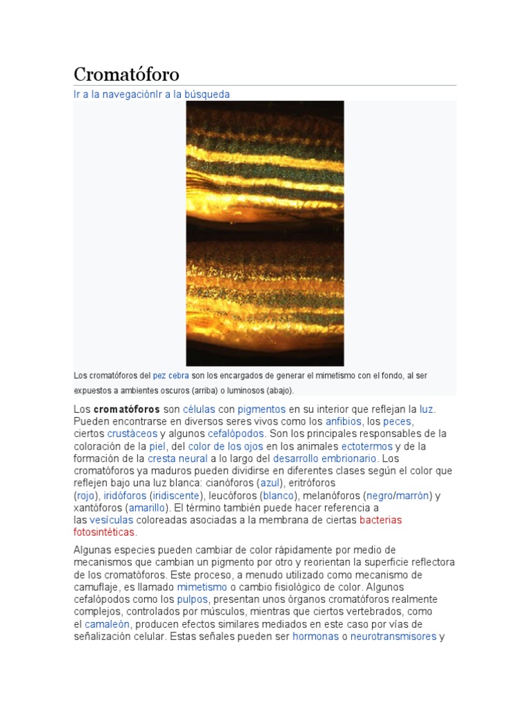 Los cromatóforos: células pigmentadas responsables de la coloración en ...