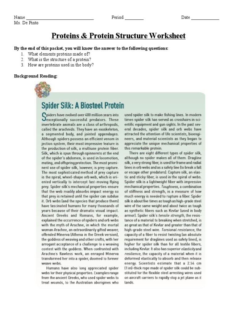 9 - Proteins and Protein Structure Worksheet | PDF | Proteins | Amino Acid