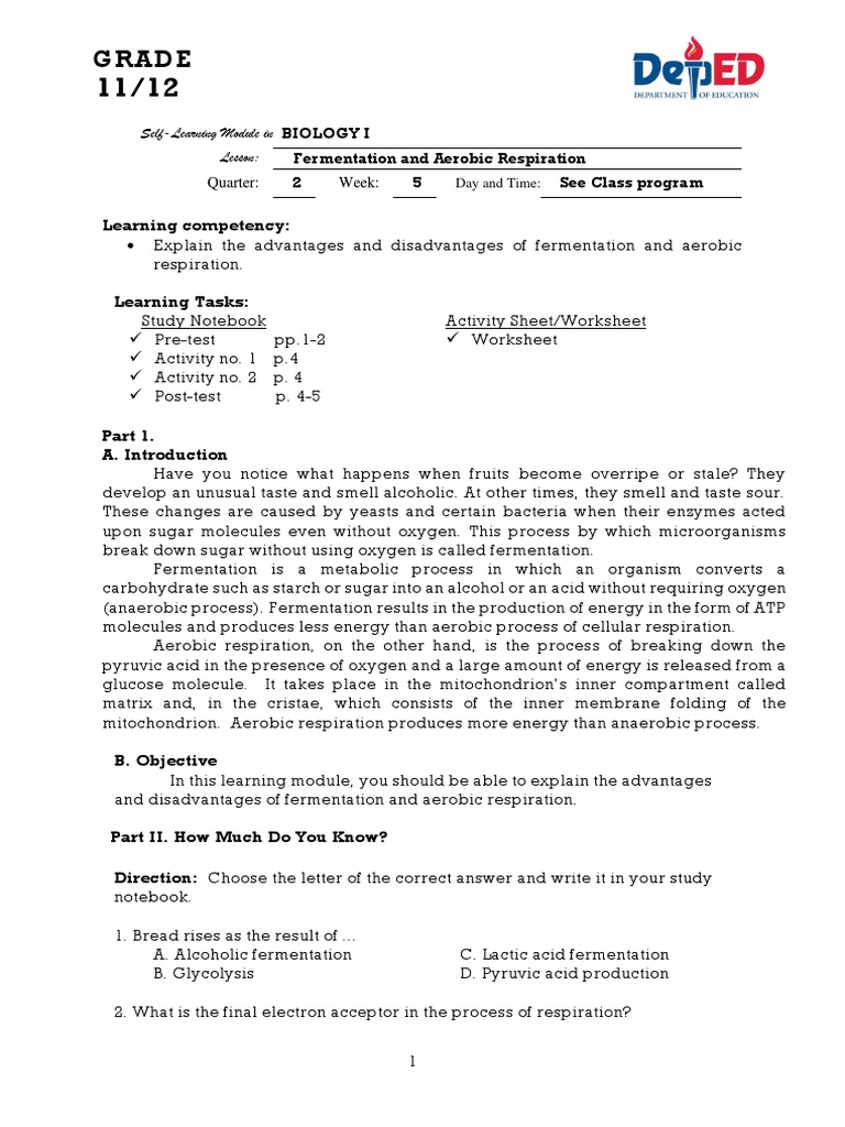 Self Learning Module in Biology 1 Q2 W3 | PDF | Cellular Respiration ...