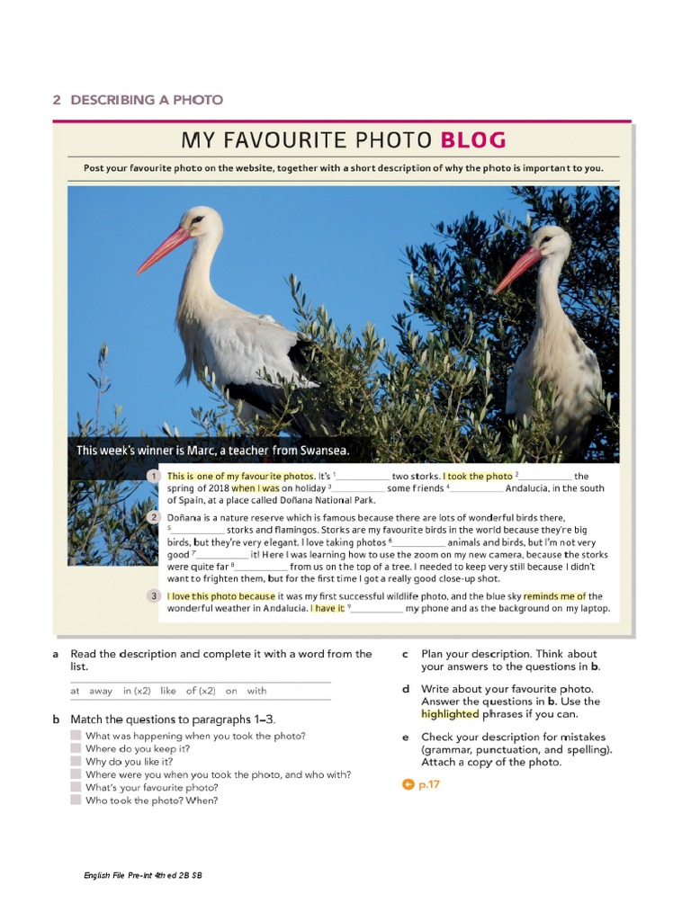 Describing A Photo | PDF