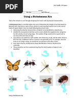 Dichotomous Key Practice Worksheets | PDF | Foreign Language Studies