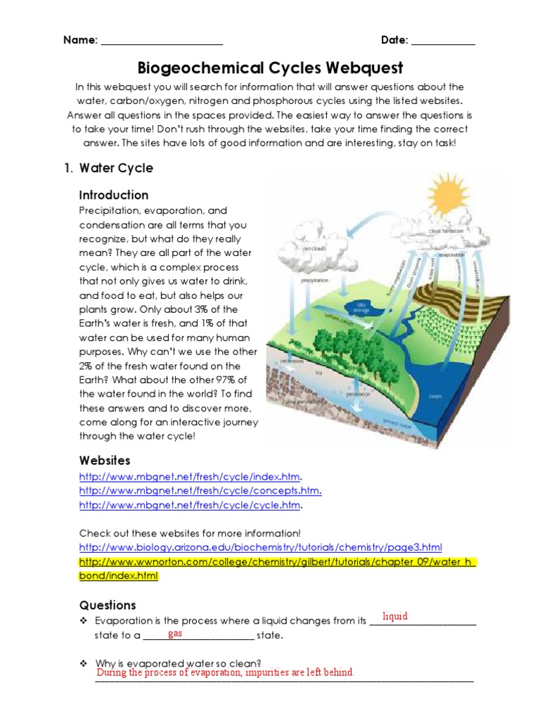 Biogeochemical Cycles: An Interactive Exploration of Water, Carbon ...