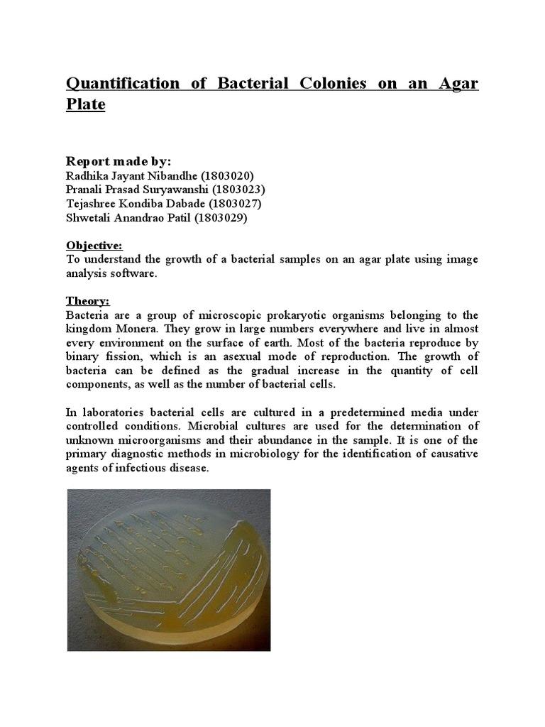 Quantification of Bacterial Colonies On An Agar Plate | PDF | Growth ...
